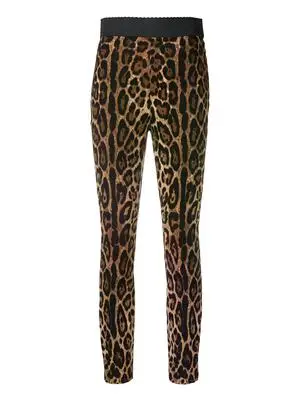 Dolce & Gabbana Leopard-print Cady Leggings - Black