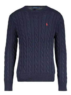 Polo Ralph Lauren Cotton Crewneck Sweater - Blue