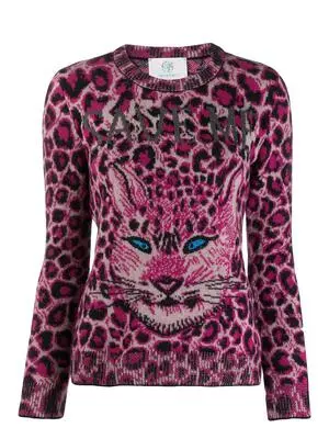 ALBERTA FERRETTI Alberta Ferretti Cat Print Jumper