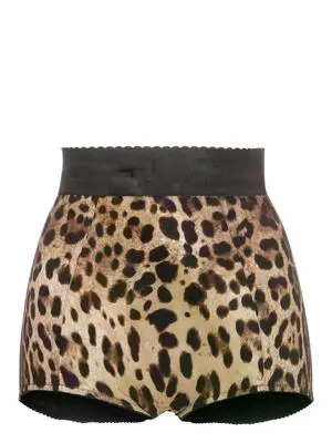 Dolce & Gabbana Leopard-print High-waisted Briefs - Brown