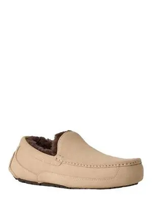 UGG Ascot Loafer Slipper Mustard Seed/molasses