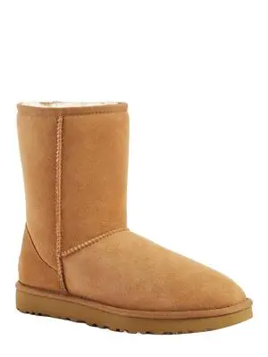UGG Classic Ii Shearling Lined Short Boot - Chestnut Suede