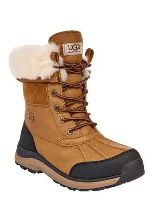 UGG UGG(r) Adirondack Iii Water Resistant Bootie Chestnut