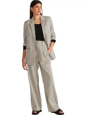 Everlane Draper Pleated Wide Leg Pant Ombre Stripe
