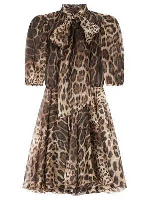 Dolce & Gabbana Leopard-print Organza Mini Dress - Brown