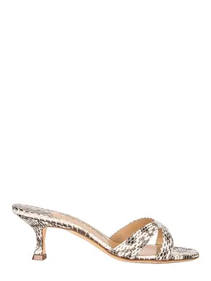 Manolo Blahnik Manolo Blahnik Callamu 50 Mule Sandal Multi