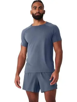 Alo Yoga Triumph Raglan T-shirt - Bluestone