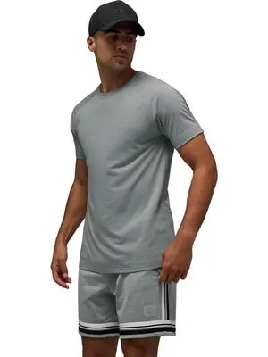 Alo Yoga Triumph Raglan T-shirt - Lunar Grey
