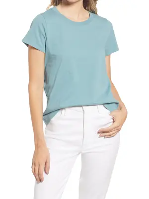 Madewell Madewell Northside Vintage T-Shirt Summer Breeze