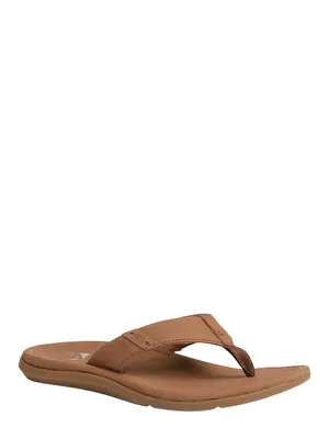Reef Reef Santa Ana Flip Flop Brown/brown