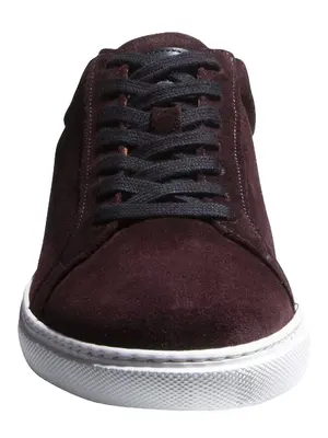Allen Edmonds Allen Edmonds Courtside Leather Sneaker Rum Suede