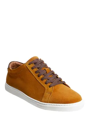 Allen Edmonds Allen Edmonds Courtside Leather Sneaker Turmeric