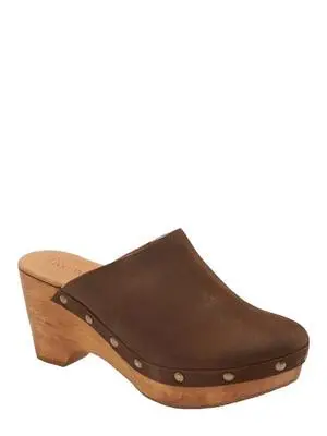 Cordani Zorba Clog - Brown Nubuck