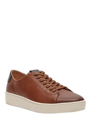 Vince Camuto Hallman Leather Sneaker Cognac