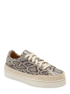 The Flexx THE FLEXX Hi Tide Platform Sneakers Jack Leather