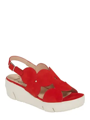 WONDERS Wonders Platform Sandal Ante Rojo Suede