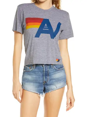 Aviator Nation Aviator Nation Logo Boyfriend Tee Heather