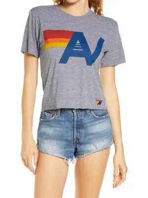 Aviator Nation Aviator Nation Logo Boyfriend Tee Heatheregrey