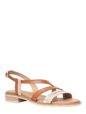 NEROGIARDINI NeroGiardini Strappy Sandal Brown Multi