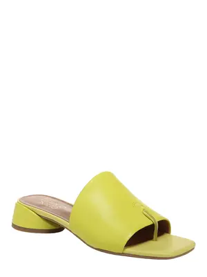 Franco Sarto Franco Sarto Loran Sandal Limeade Leather
