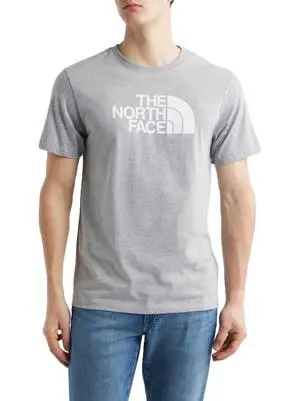 The North Face Half Dome Logo Graphic T-shirt - Pale Grey Heather/ White