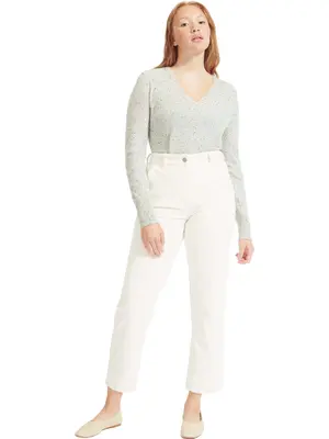 Everlane Cashmere V-Neck Sweater Frost Donegal