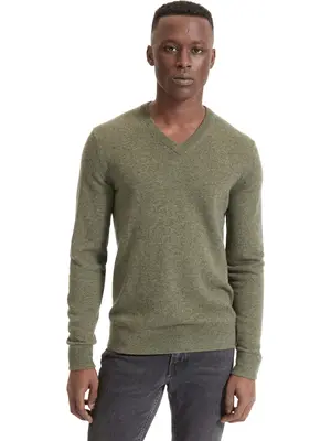 Everlane Cashmere V-Neck Sweater Loden