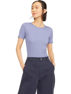 Everlane Luxe Rib Crew Neck T-Shirt Cornflower Blue