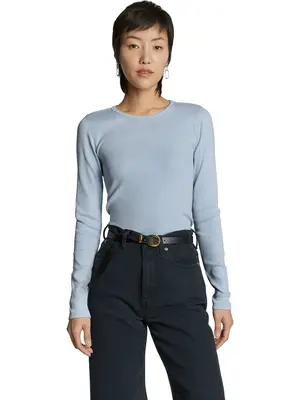 Everlane Luxe Rib Long-Sleeve Crew Neck T-Shirt Mist