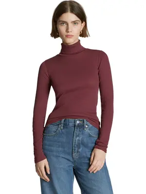 Everlane Luxe Ribbed Turtleneck Brandy