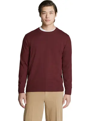 Everlane Long Sleeve Crewneck Sweater Brandy