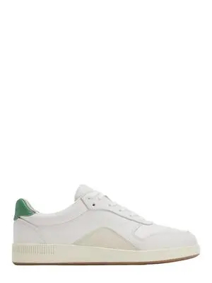 Everlane Leather Court Sneakers - White / Grass Green / Parchment