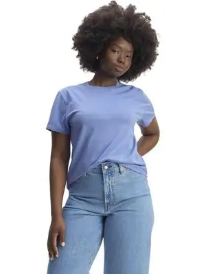 Everlane Everlane Box-Cut T-Shirt In Essential Cotton Blue Opal