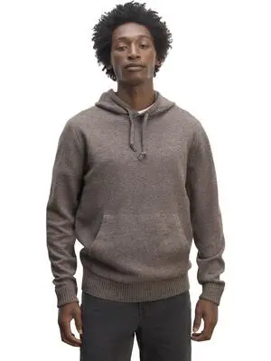 Everlane Felted Merino Hoodie Taupe Melange