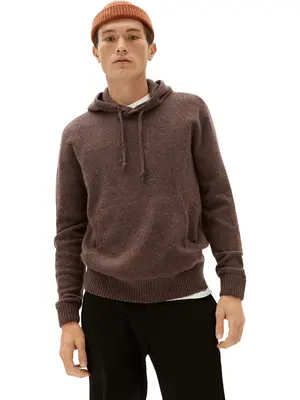Everlane Felted Merino Hoodie Tree Bark