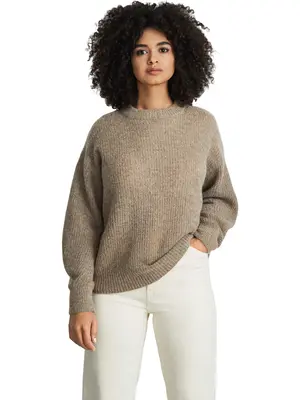 Everlane Cocoon Crew Neck Alpaca Sweater Clay