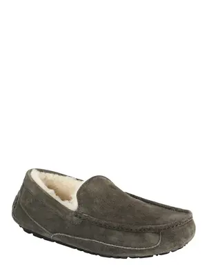 UGG Ascot Suede Slippers Charcoal