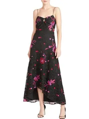 Monique Lhuillier Sleeveless Embroidered Lace A-line Dress - Black Multi