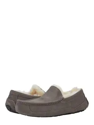 UGG UGG Ascot Slipper Gray