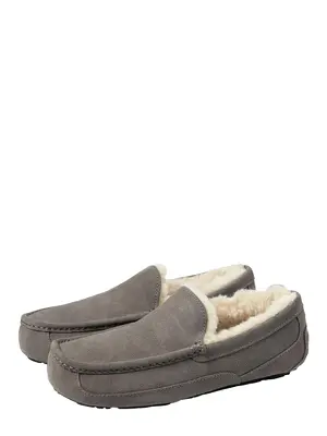 UGG UGG Ascot Slipper Gray