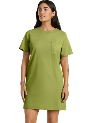 Everlane Everlane Organic Cotton T-Shirt Dress Pepper