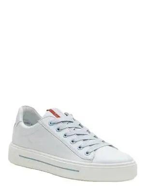 ARA Camden Sneaker - White Cervocalf