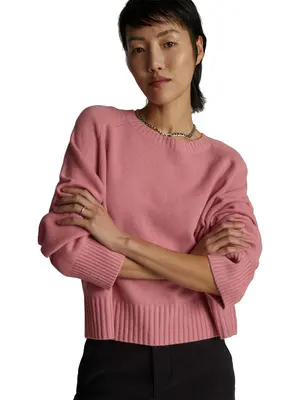 Everlane Boxy Crew Neck Sweater Bubblegum