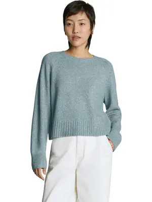 Everlane Boxy Crew Neck Sweater Spring Lake Twist