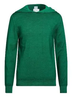 Aspesi Wool Hooded Sweater Green