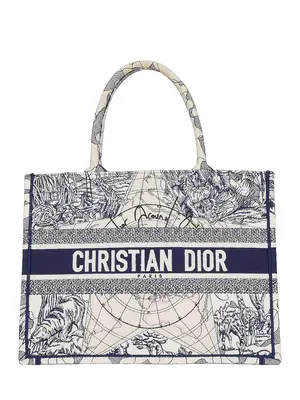 Dior Around The World Book Tote Bag - Blue