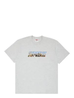 Supreme Gotham Tee 'ash Grey' Grey