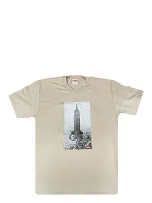 Supreme Mike Kelley The Empire State Building T-shirt 'clay' Brown