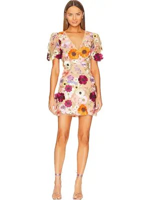 ELLIATT Rosalind Mini Dress - Multi