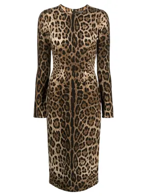 Dolce & Gabbana Leopard-print Long-sleeve Dress - Brown